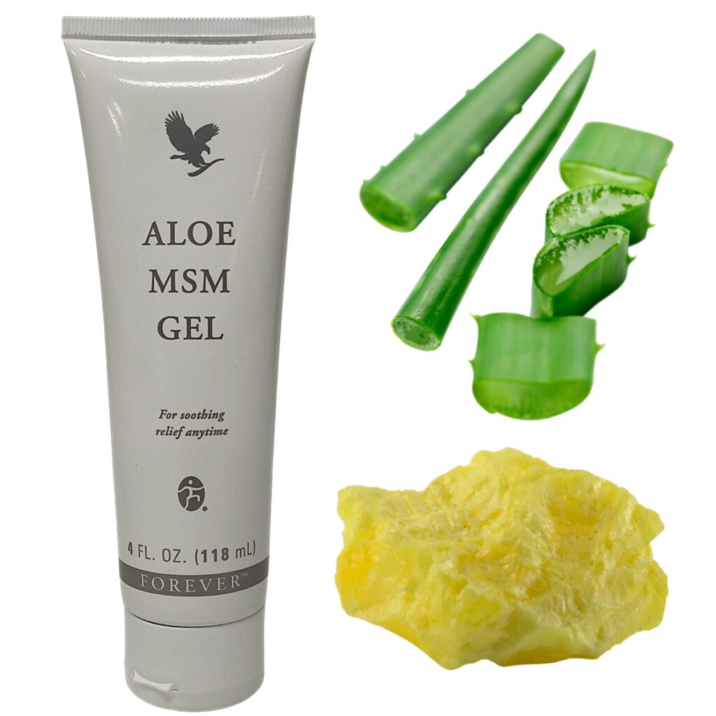 Aloe MSM Gel Massagem – FBO Forever